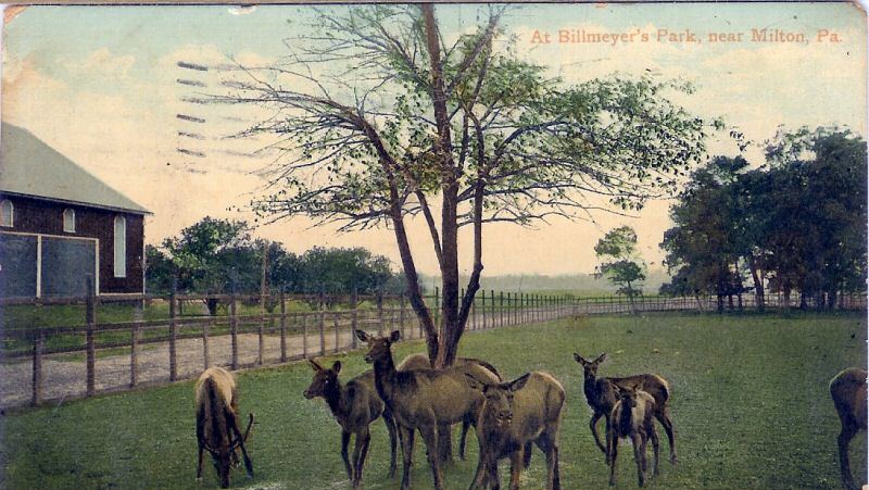 Billmeyer’s Park – A Hundred Years Ago