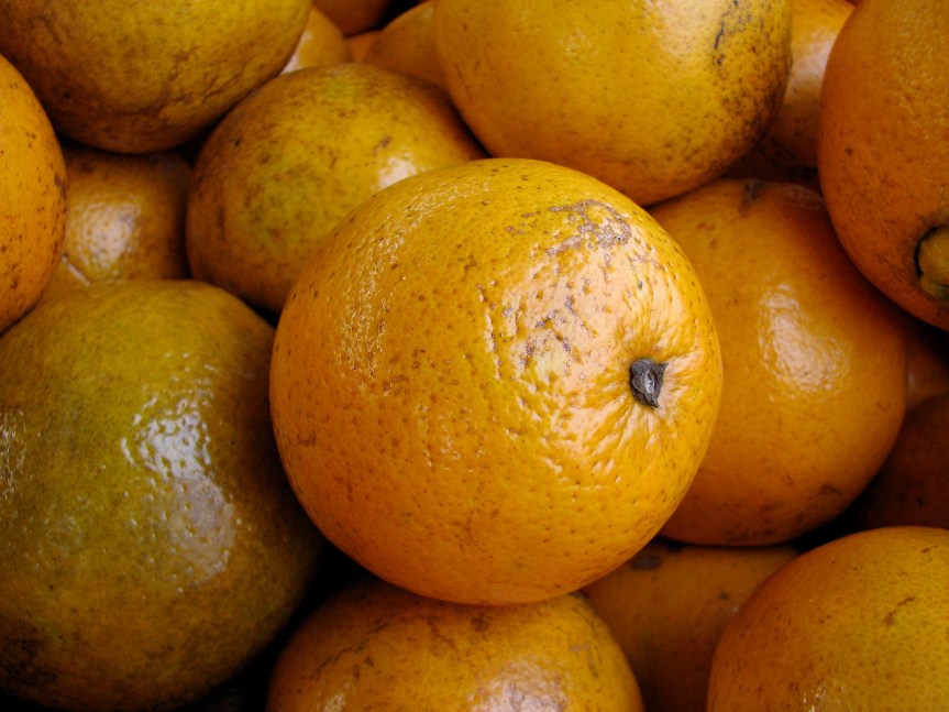 How Much Did Oranges Cost a Hundred Years Ago? – A Hundred Years Ago