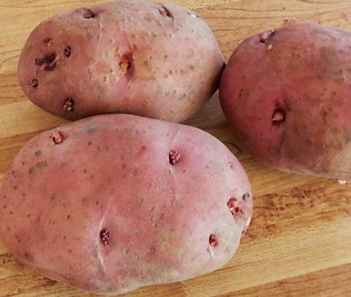 Role of Potatoes in Diets a Hundred Years Ago – A Hundred Years Ago