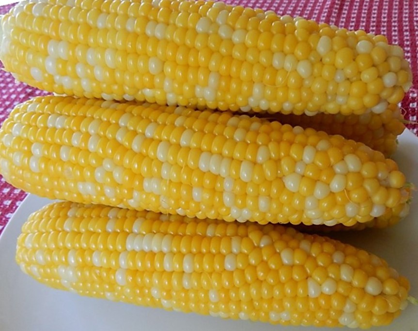 Hundred-year-old Recipe for Boiled Corn (Corn on the Cob) – A Hundred ...