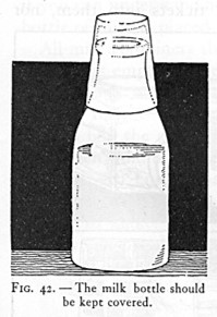 1920 Advice on How to Keep Milk Clean and Fresh – A Hundred Years Ago